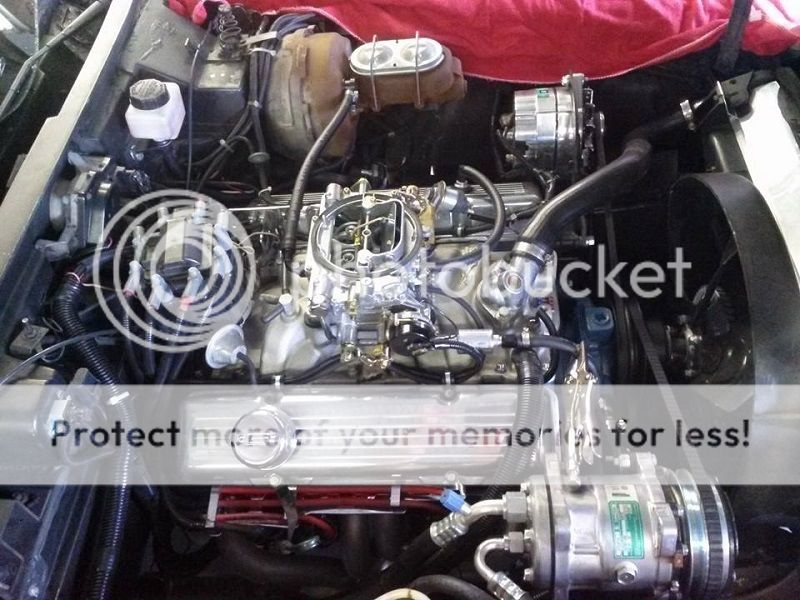 FAST EFI conversion in a '81 | Corvette Forum : DigitalCorvettes.com ...