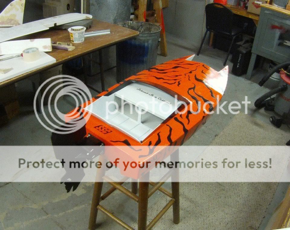 Overpowered? mini cat plans